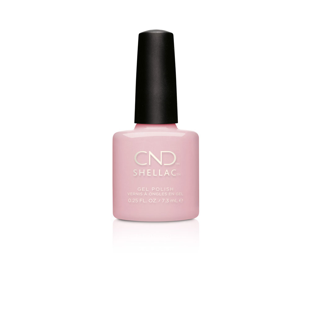 Shellac Blush Teddy