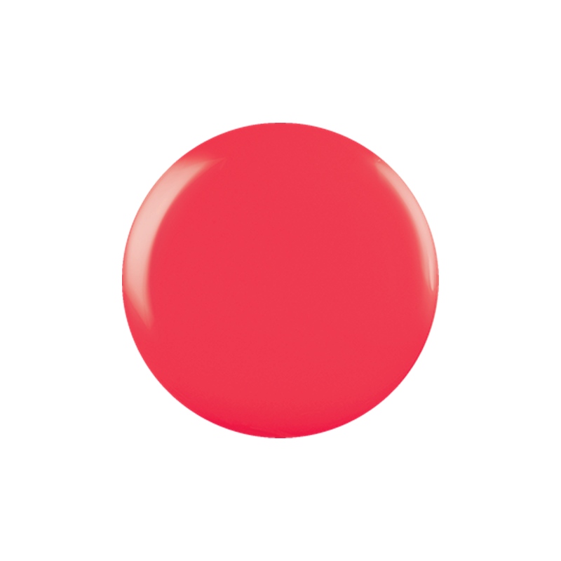 Shellac Lobster Roll